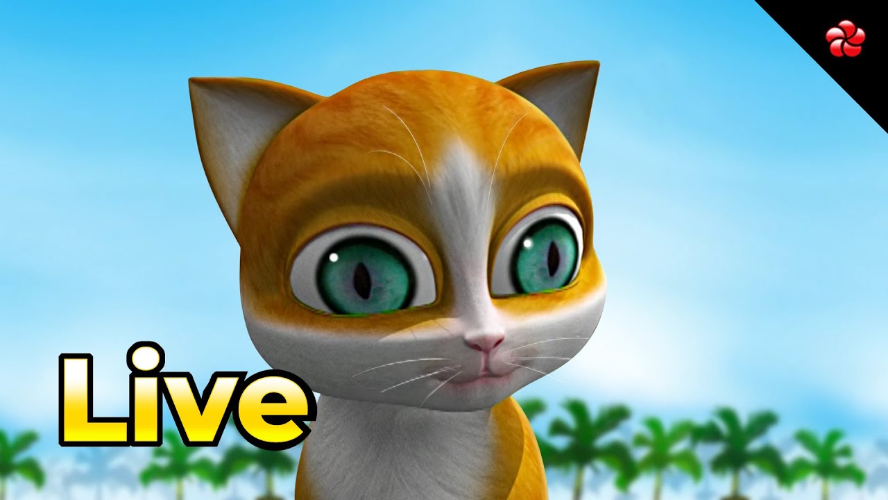 🔴 LIVE STREAM 🎬 Kathu poonai Pattampoochi Cartoon Live for Kids - YouTube