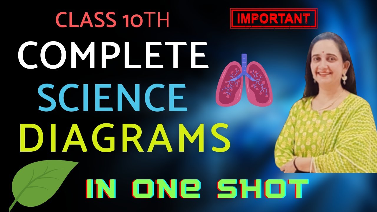 Class 10th All Science DIAGRAMS in one video | Class 10th Biology ...