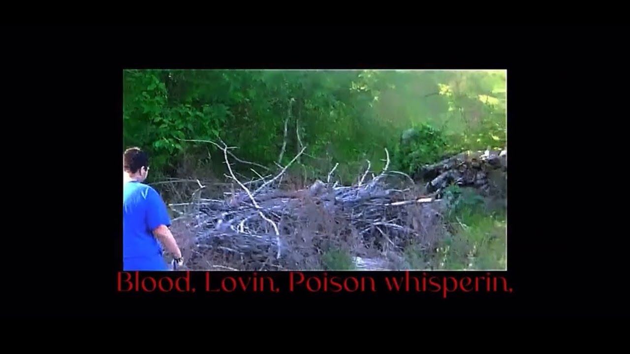 POISON (VIDEO VIDEO) VISUALIZER PROD. LUHELL & GROUPER. - YouTube