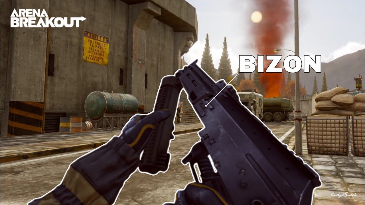 Stock Bizon Paired With 7N30 Is Amazing | Arena Breakout - YouTube