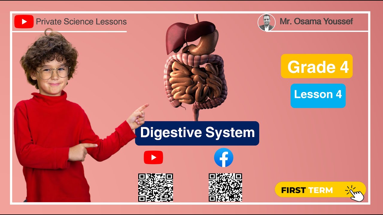Science Grade 4 First Term Theme 1 Unit1 concept 1 Lesson 4 Digestive ...