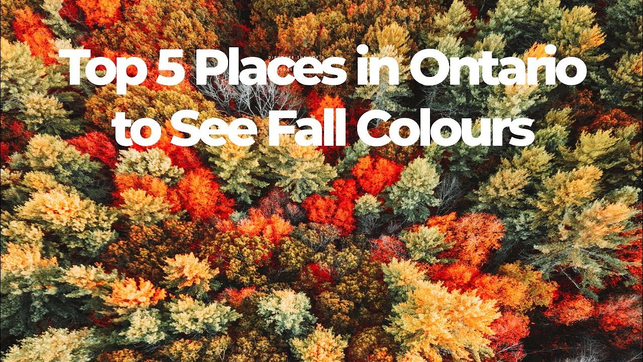Autumn's Masterpiece: Top 5 Places to See Fall Colors in Ontario - YouTube