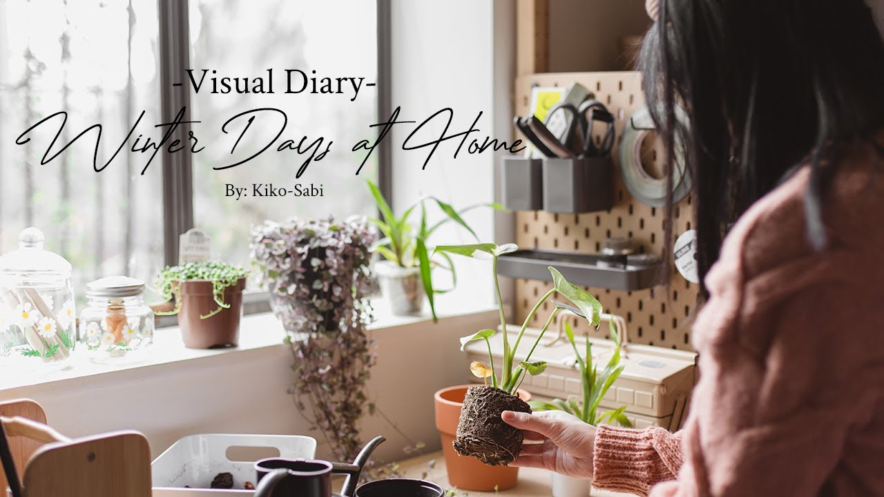 Visual Diary #11 | Spending my Winter Days at Home with New Indoor ...