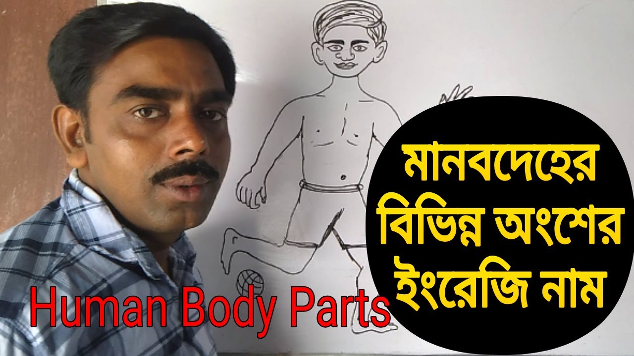 Human Body Parts Name In Human Body Parts Name In