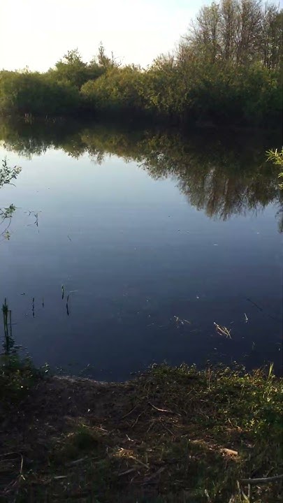 Чем отличается некультурный человек от человека культурного? - YouTube