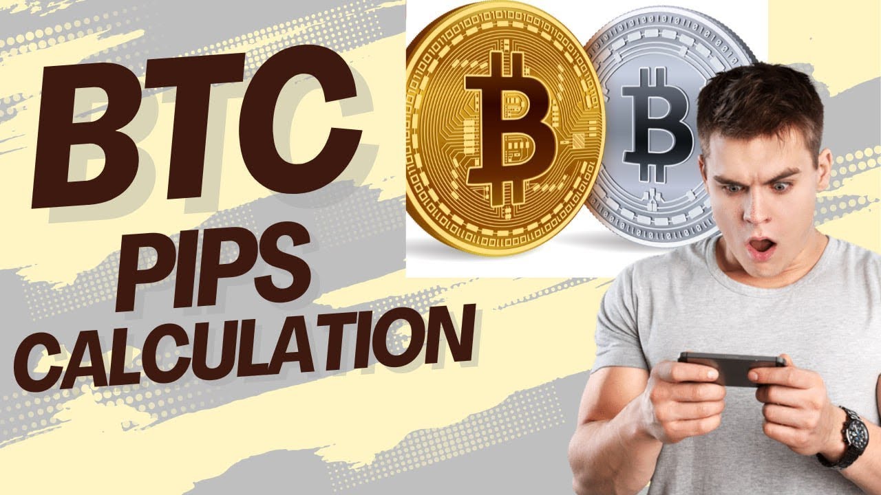 Hindi : BTC Bitcoin - Calculate pips & Lot size in Crypto - YouTube