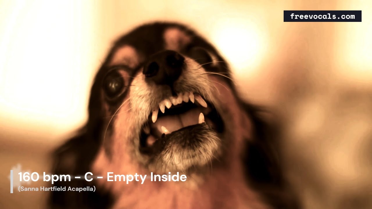160 bpm - C - Empty Inside (Sanna Hartfield Acapella) PREVIEW - YouTube