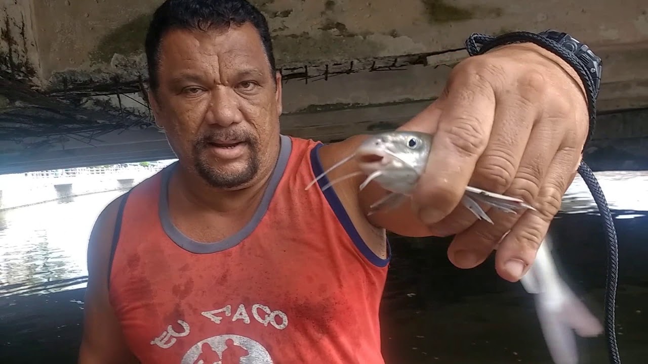 Lama Jogando Tarrafa #4 - YouTube