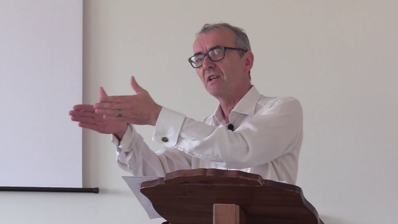 Michael Cronin - Translating the Post Humanities - NSTS 2018 - YouTube