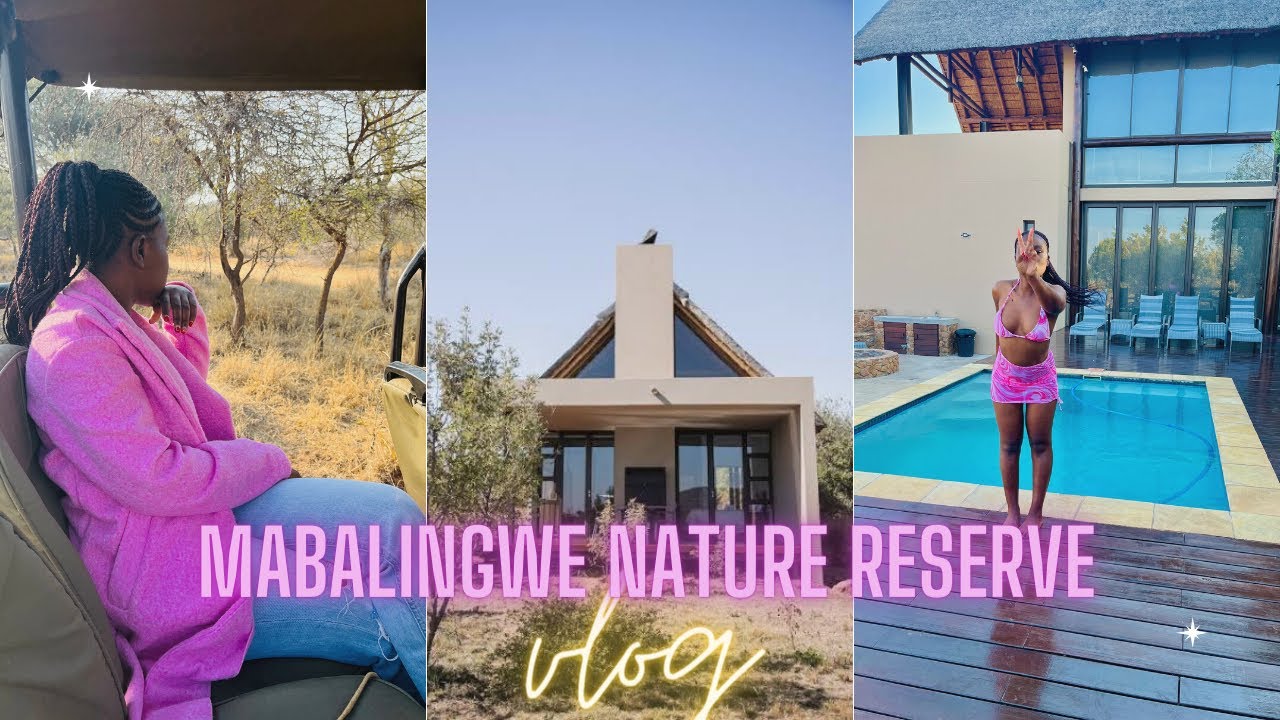 Getaway Vlog: Sunset game drive | Luxury Safari Suite - YouTube