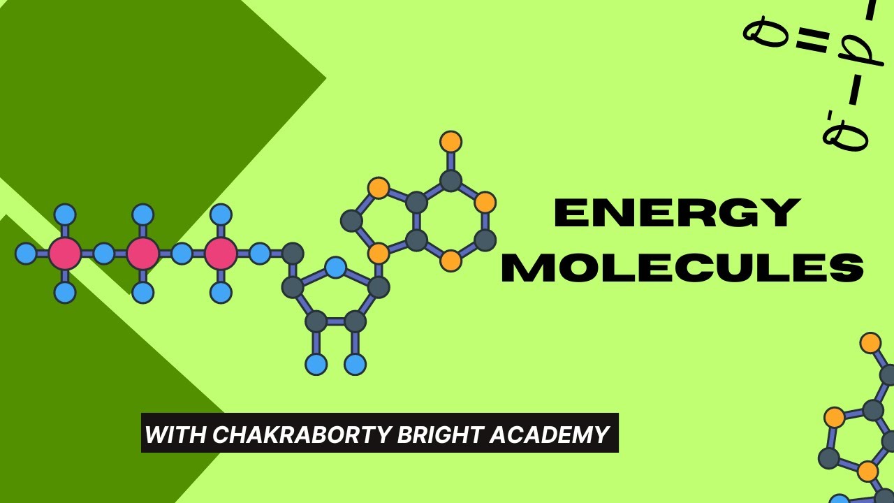 Energy Molecules - YouTube