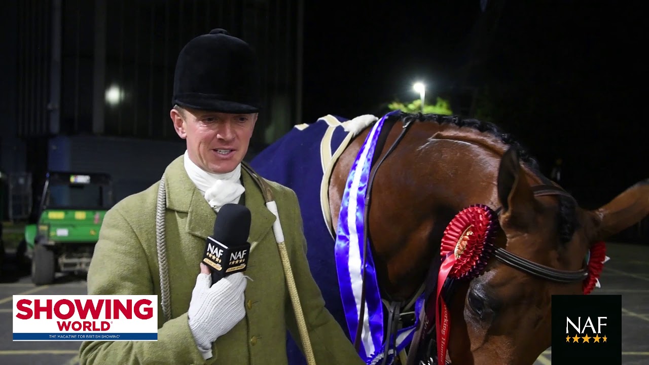 Mr & Mrs Cuddy Working Hunter Champion Heads Up - YouTube