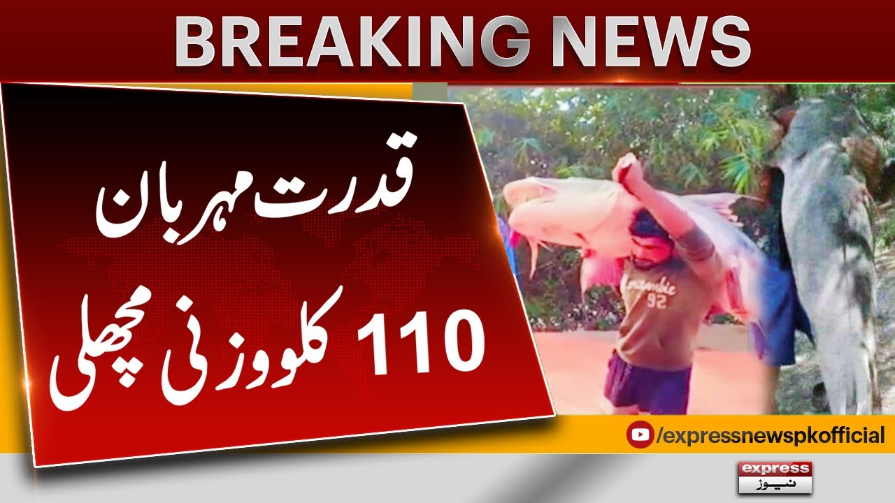 Big Fish Catch In pakistan | Breaking News | Express News - YouTube