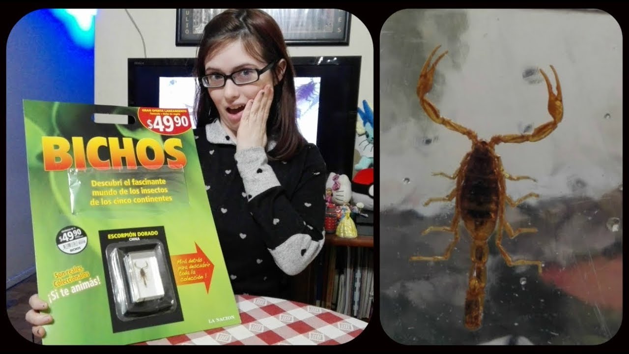 Unboxing Golden Scorpion from Real-life Bugs & Insects Collection from ...