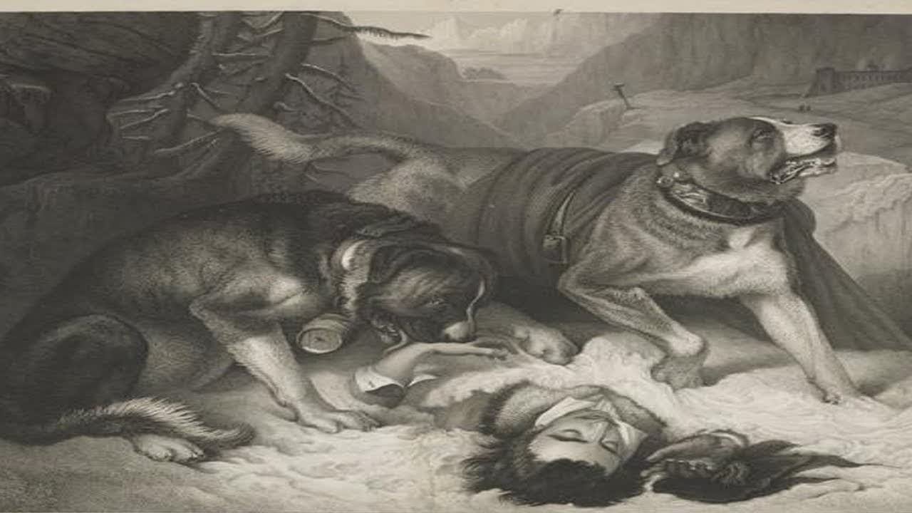 5 PERROS EXTINTOS QUE NOS GUSTARIA VOLVER A VER - YouTube