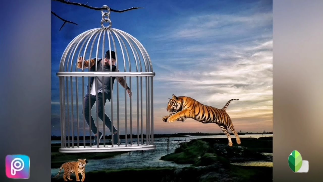 Picsart TIGER and the CAGE photo editing tutorial | Creative editing ...