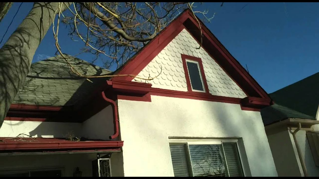 Tree On my House David Petry - YouTube