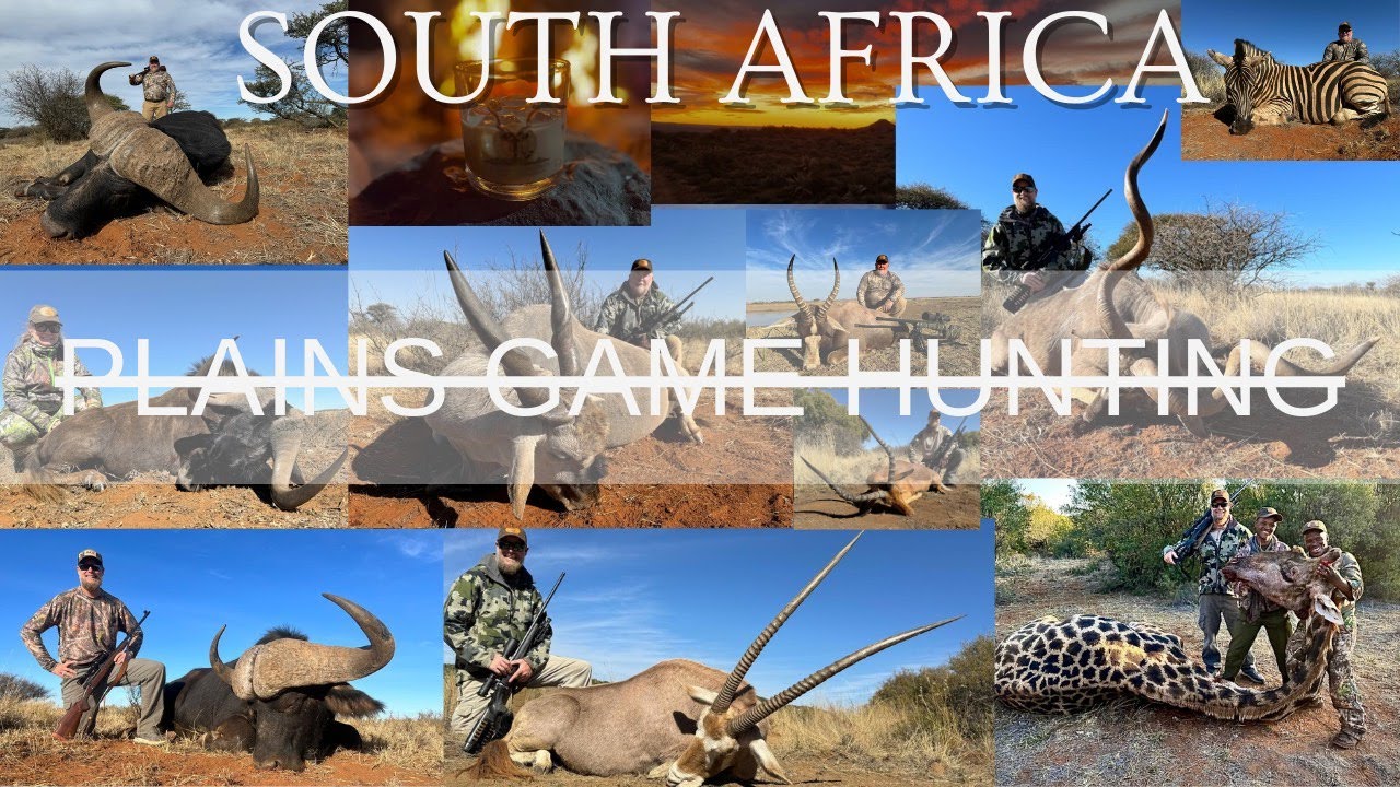 Ultimate African Hunting Adventure | 16 Animals in 7 Days | Elite ...
