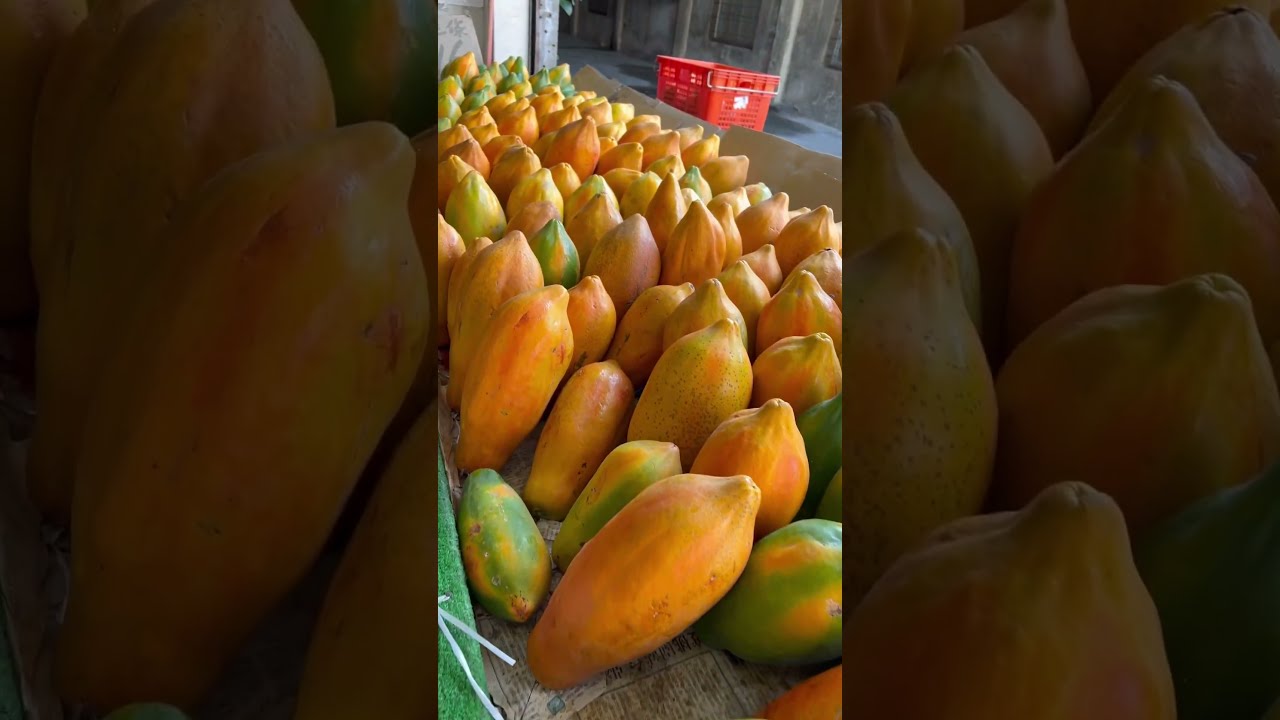 What Is The Fruit Name In Your Language YouTube What Is The Fruit Name In Your Language YouTube