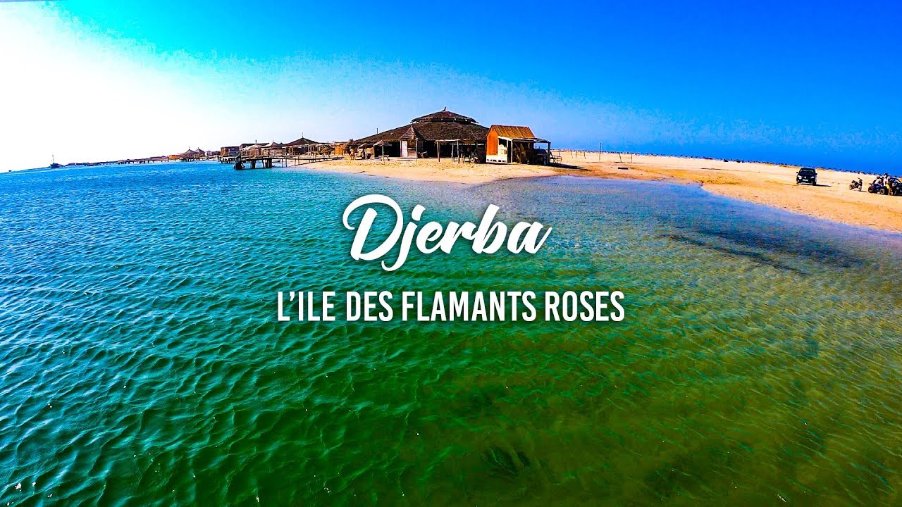 Djerba - L’île des flamands roses 4K | جربة - جزيرة الفلامينجو - YouTube