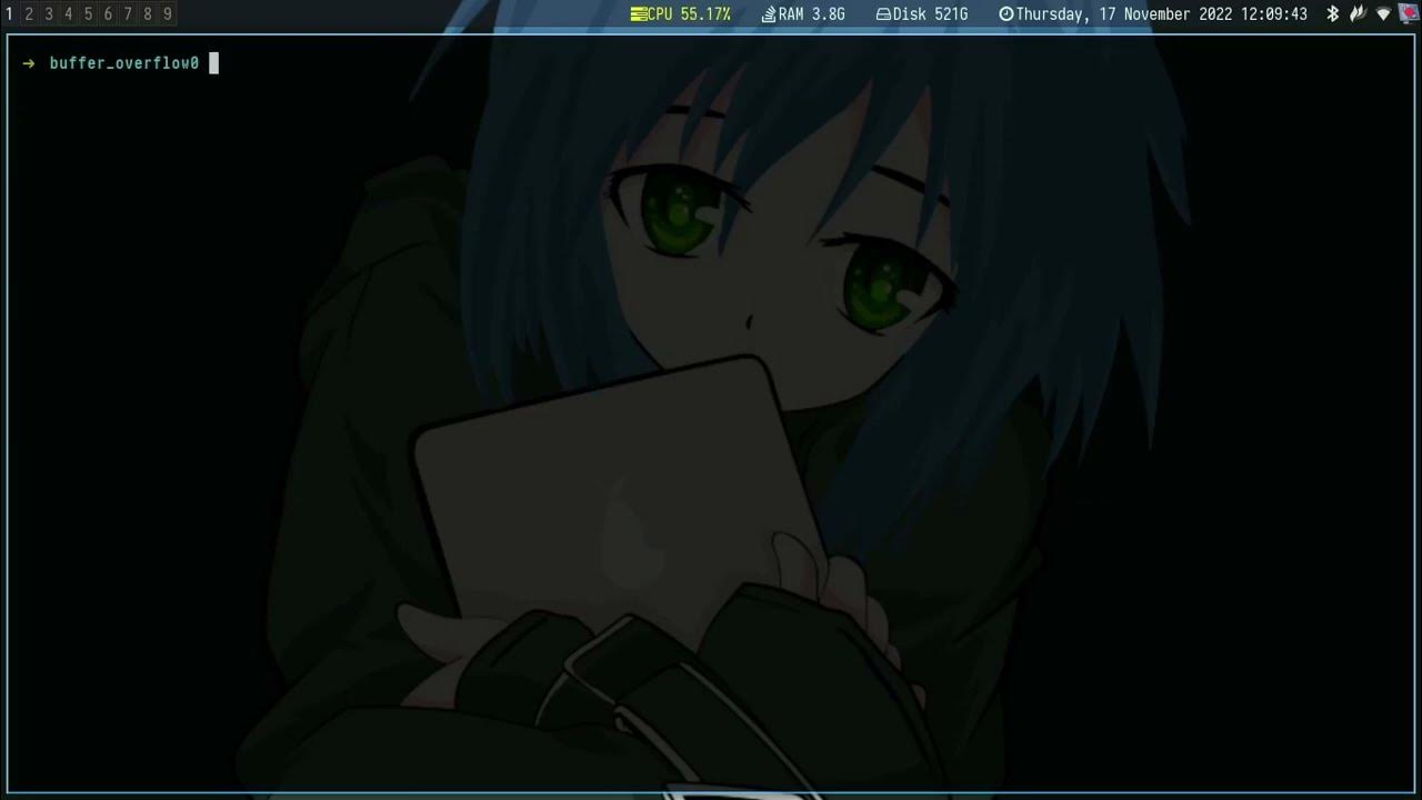 buffer overflow 0- picoCTF practice challenges { Binary Exploitation } - YouTube