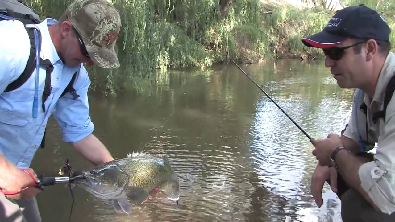 "For Cod Sake" promo - YouTube
