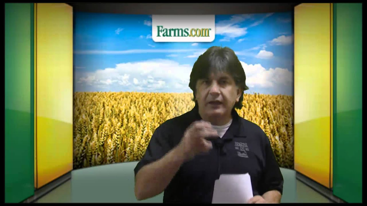 Farms.com Special Grain Report: June 12th WASDE Report: Weather Market ...