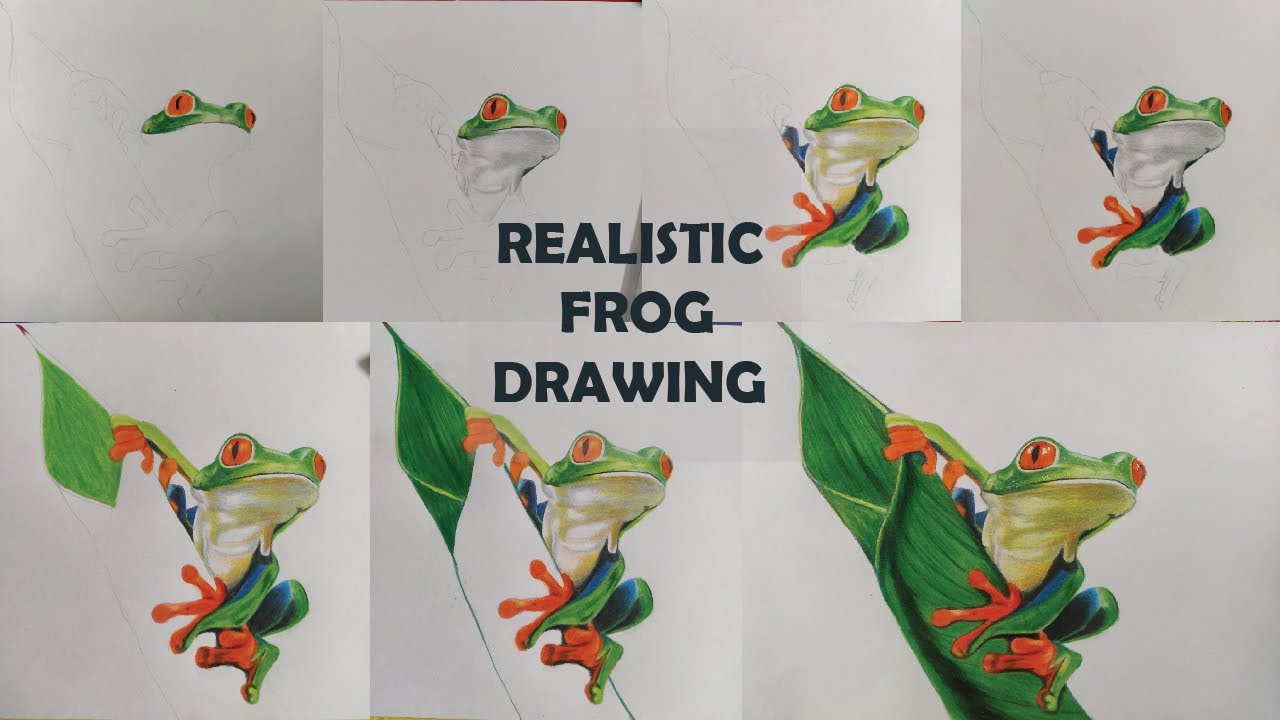 REALISTIC FROG DRAWING - YouTube
