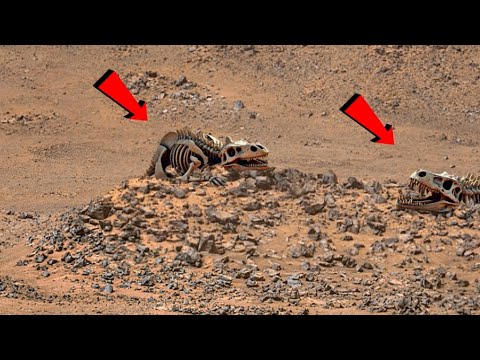 NASA's Mars Rover Perseverance Capture Most Spectacular Shocking Real ...