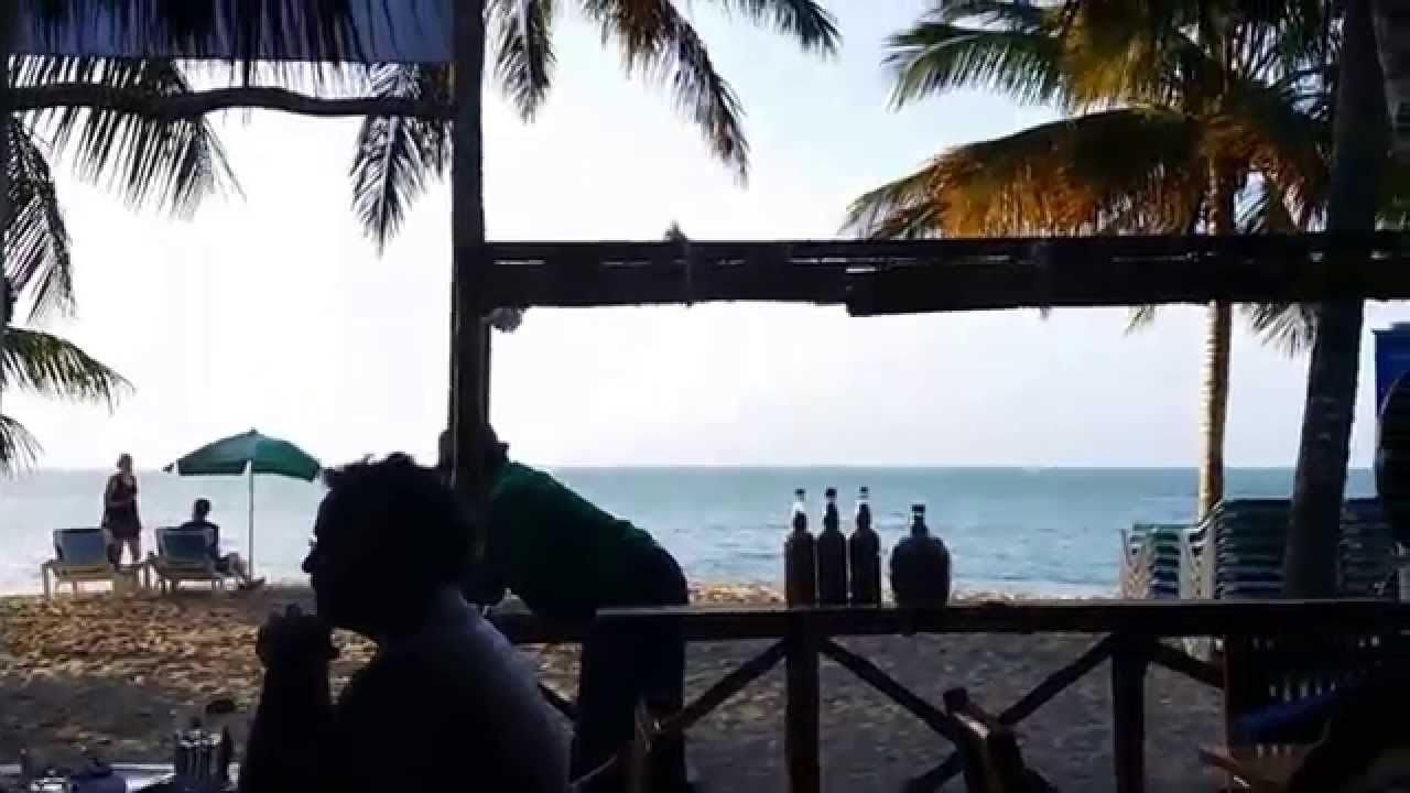 Mojito Bar Best Restaurant Cabarete Dominican Republic - YouTube