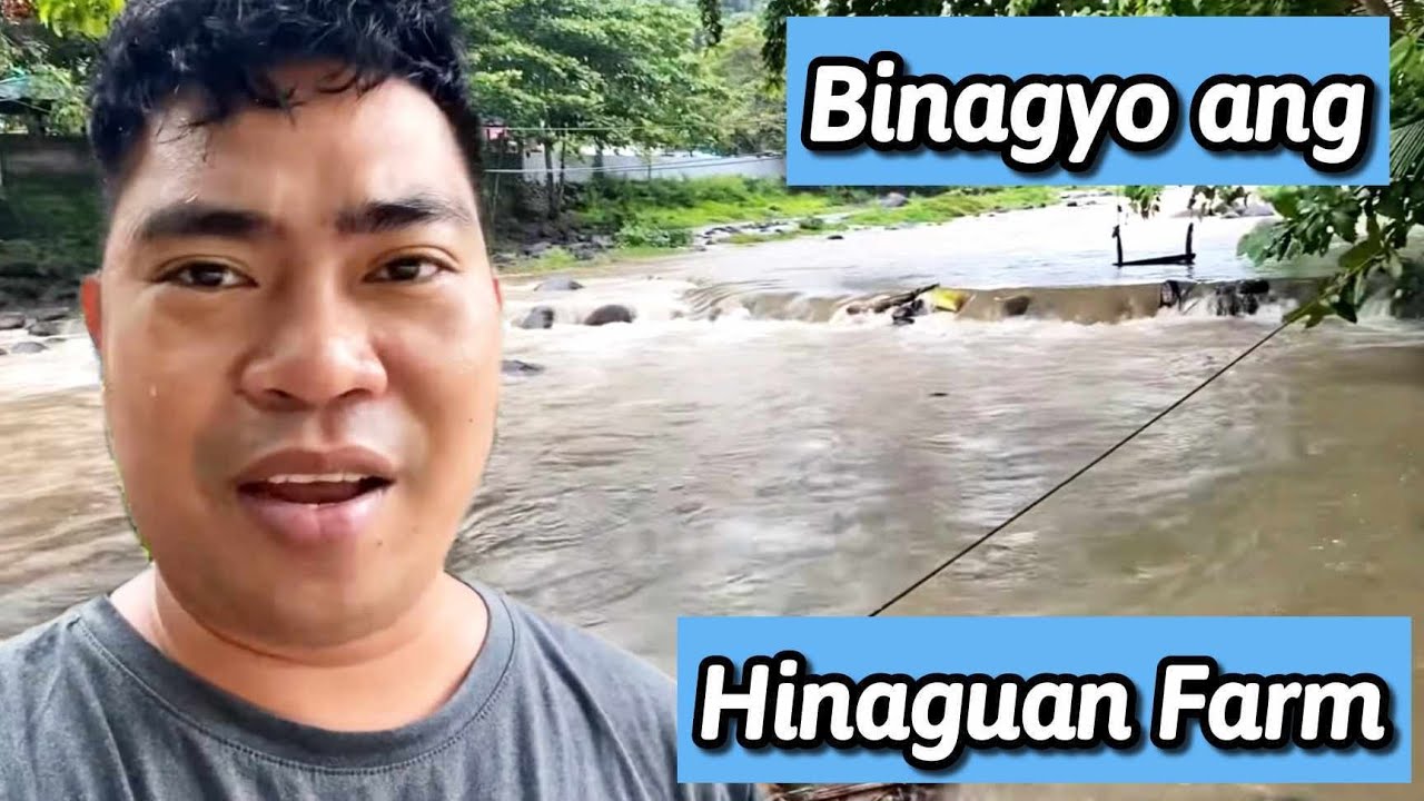 Binagyo ang Hinaguan Farm ni @BrendaMageOfficial , Ano ang epekto nito ...
