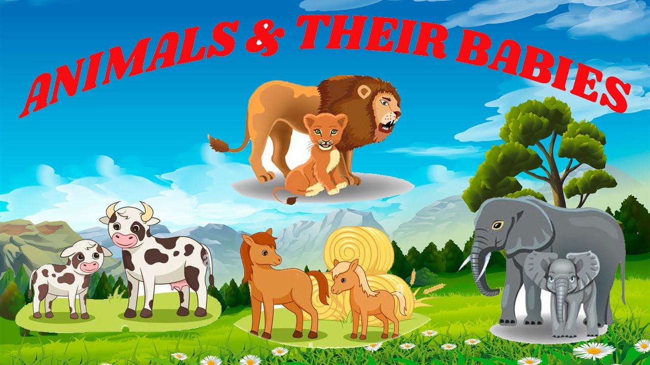 Cute little animals and their babies || Animals and their Young Ones ...