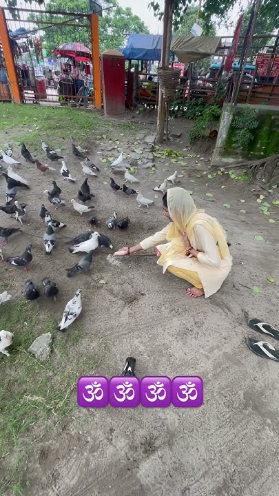 #ॐ अलख निरंजन अलख निरंजन जय गुरु 🧑‍🏫 गिरदारी #ॐ #sorts जय महाकालेश्वर महादेव की जय हो #ॐनमःशिवाय ...