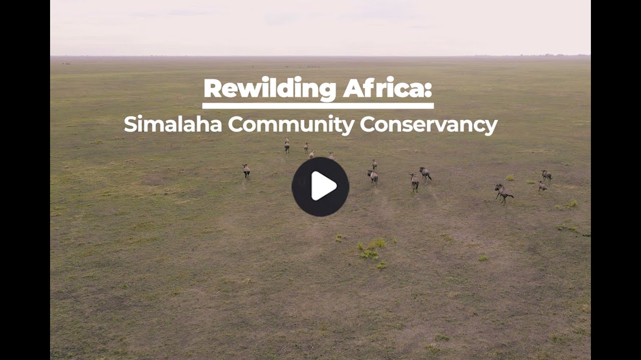 Rewilding Africa: Simalaha Community Conservancy - YouTube
