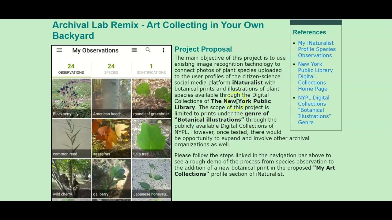 Archival Lab Remix - Art Collecting in Your Own Backyard Pt. 1 - YouTube