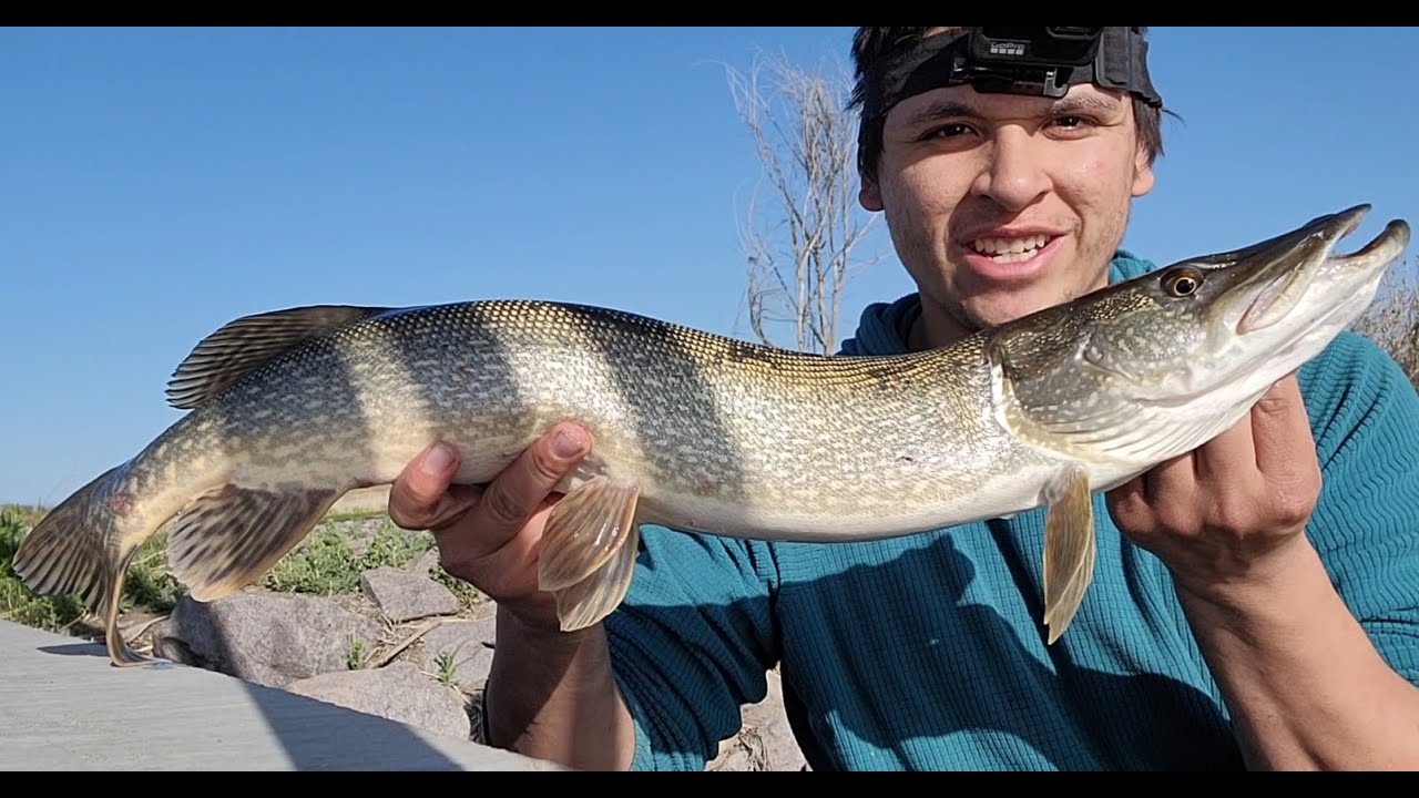 Took Me Two Days To Catch This Fish! Catching Fish With Razors For ...