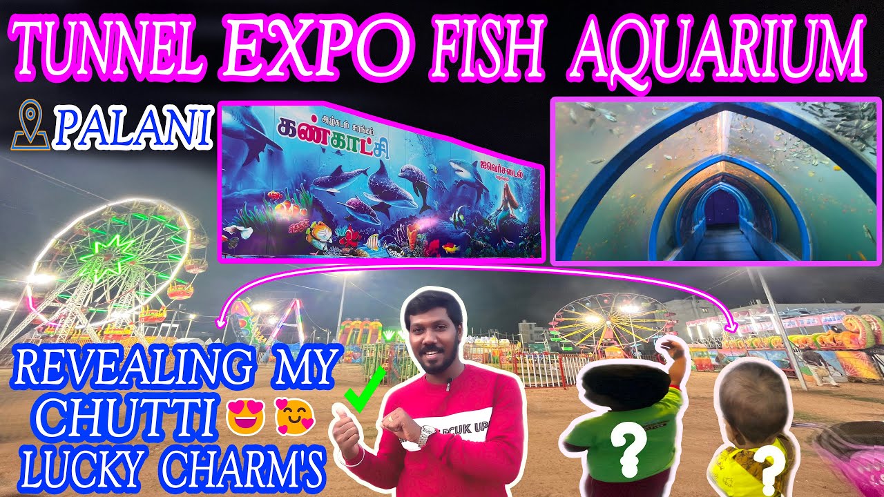 🎡Under Water Tunnel Expo 🎡 | 🥰 Revealing My Sister Kid's | 🥰 Family ...