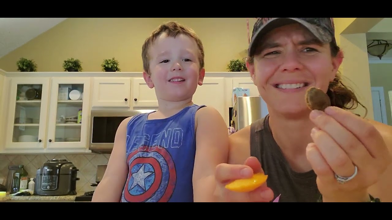 Jax Snacks, Episode 17: Apricot - YouTube