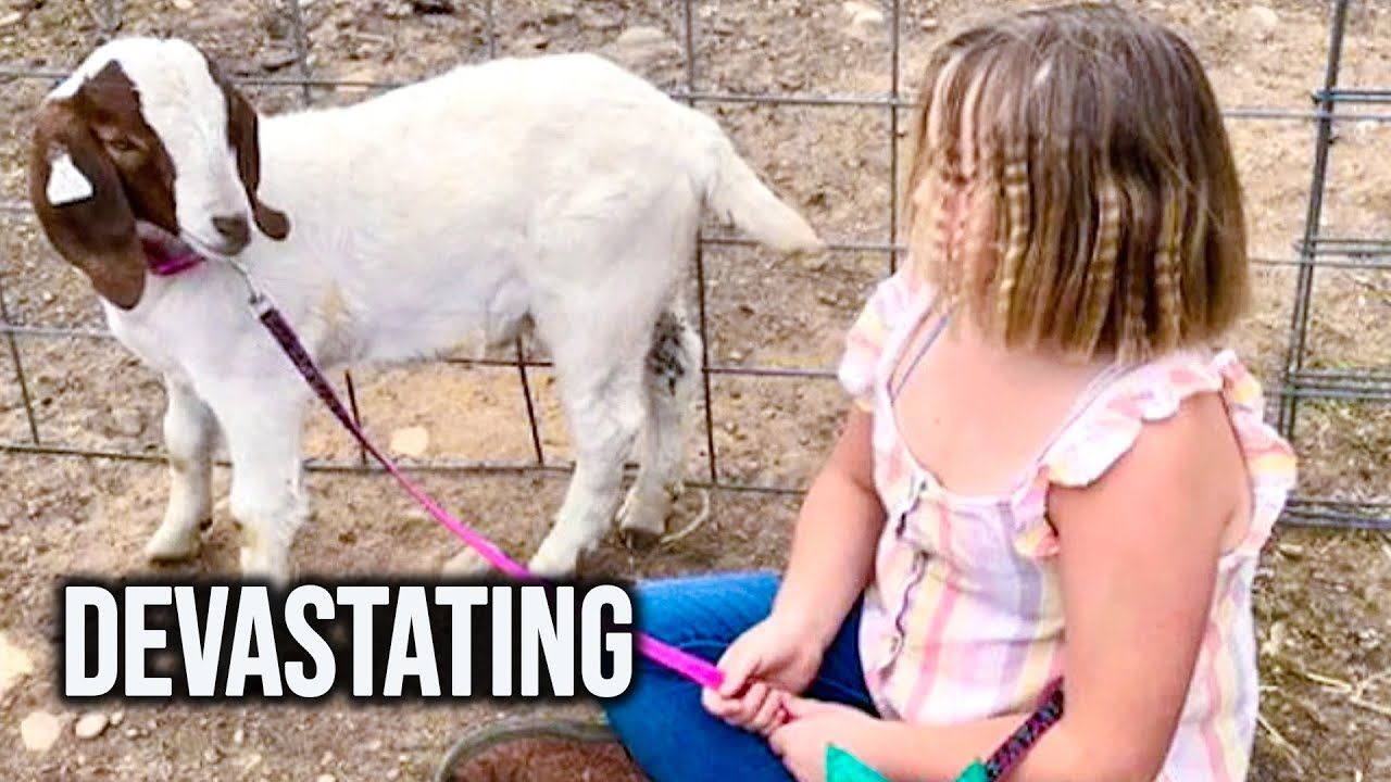 Child DEVASTATED After Farming Program Goes Completely Off The Rails ...