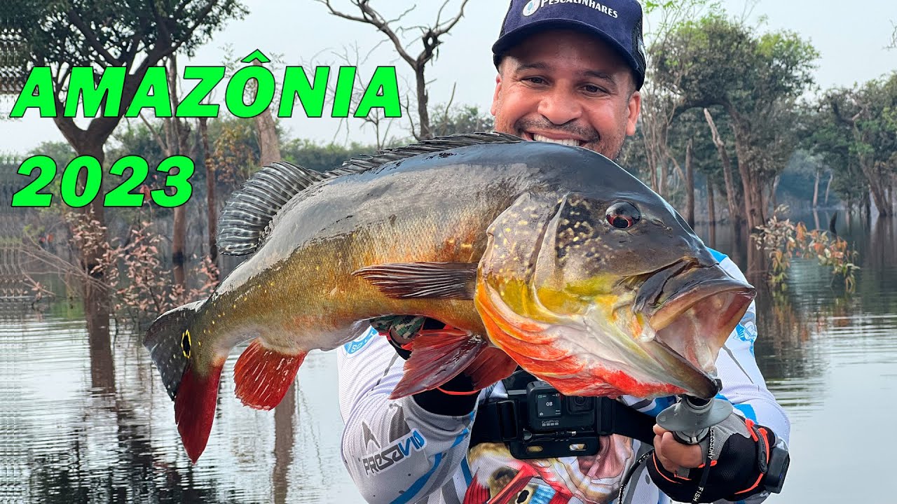 RIO JUMA - PESCARIA DE TUCUNARES NA AMAZONIA DE TIRAR O FOLEGO. A SAGA ...