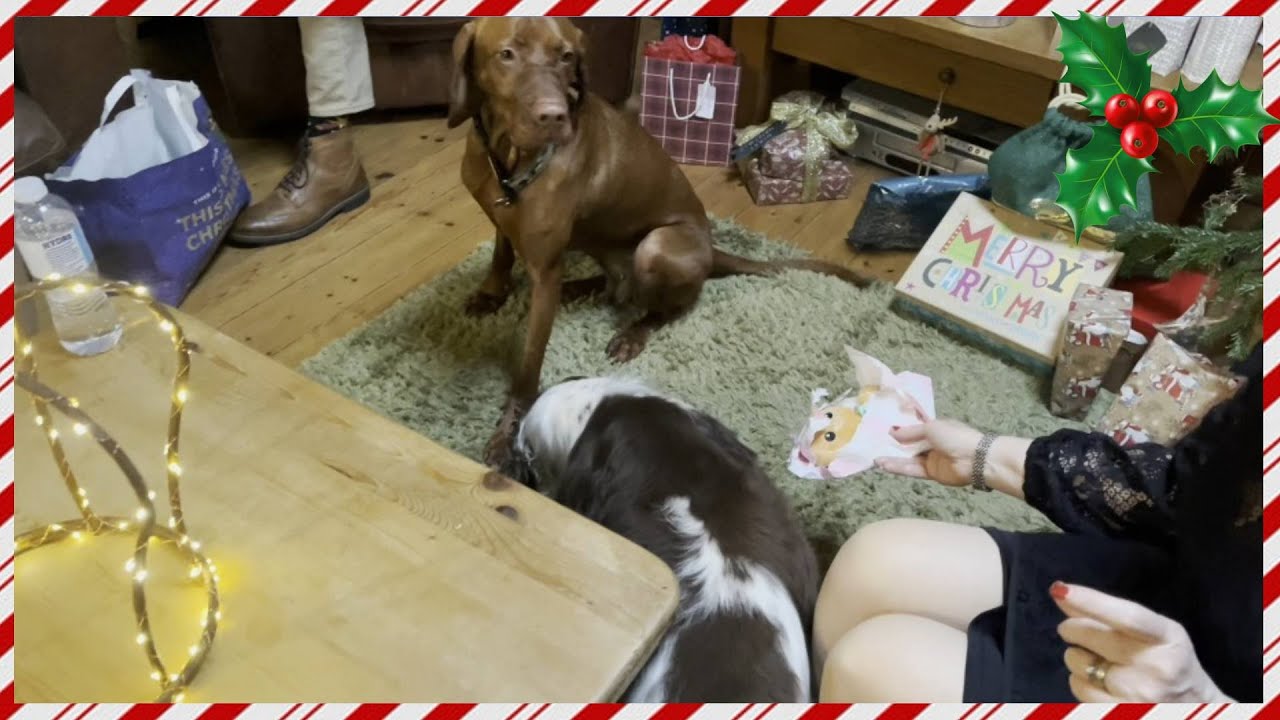 A SHORT CHRISTMAS VLOG + WHAT I GOT! | Life of Quinnton - YouTube