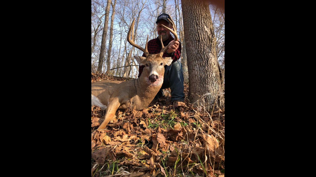 Ohio Rutting Bucks!(Bow Hunting Bucks In The Rut!) #hunting #deer # ...