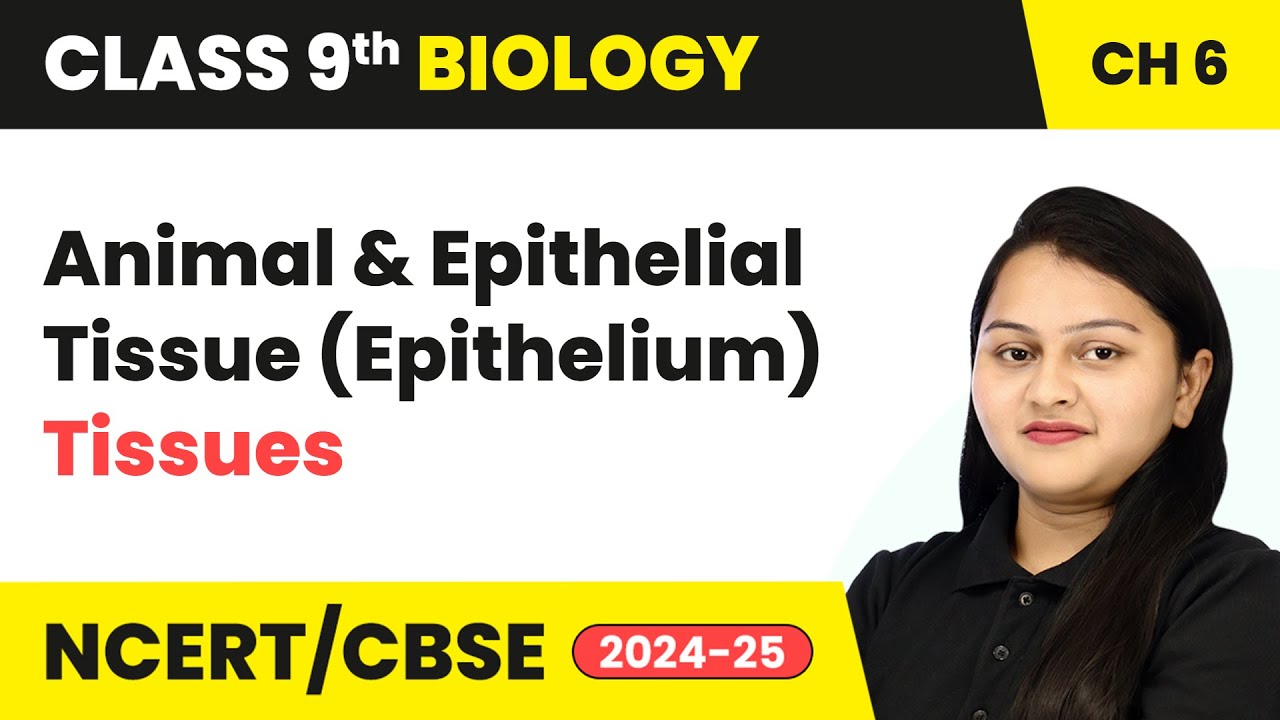 Animal Tissues and Epithelial Tissue (Epithelium) - Tissues | Class 9 ...