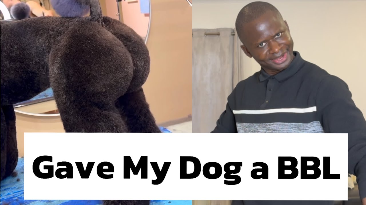 I Gave My Dog A BBL - YouTube