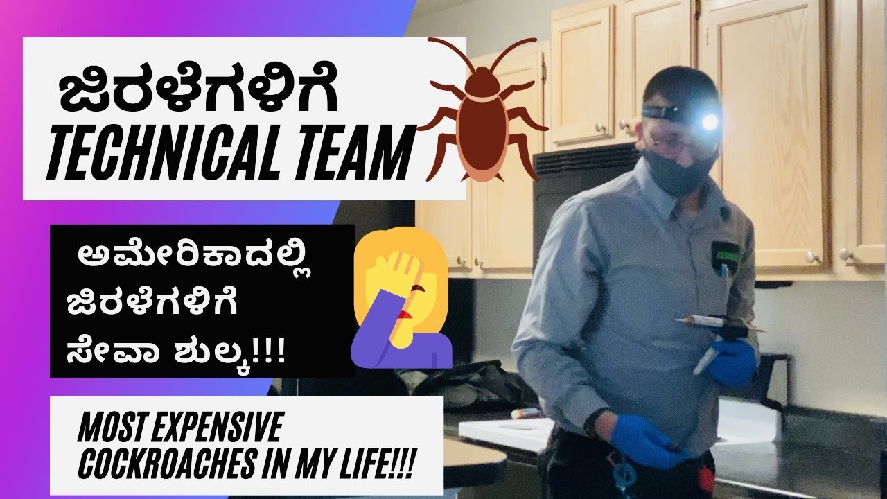 Most expensive roaches| ಅಮೆರಿಕದಲ್ಲಿ ಜಿರಳೆಗಳಿಗೆ Certified Technical Team ...