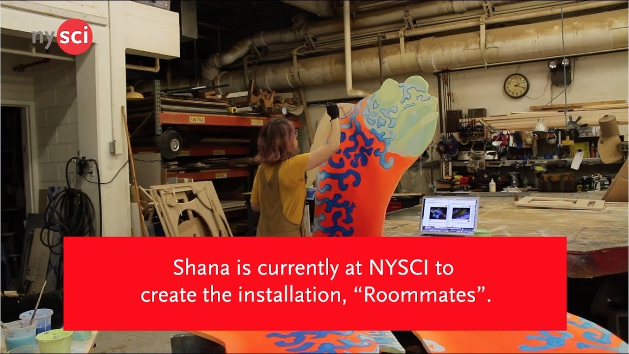 Meet The Roommates: A science art installation, at NYSCI! - YouTube