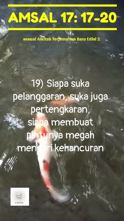 Amsal 17: 17-20 #amsal - YouTube