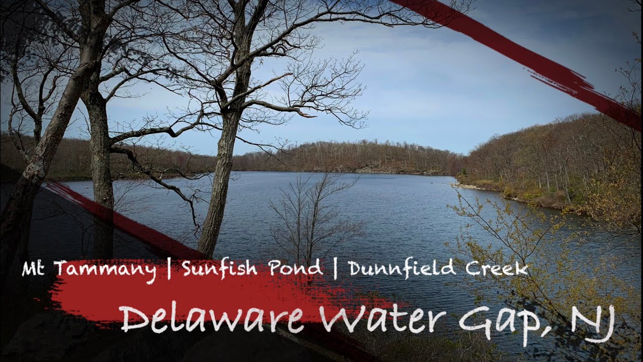 Mt Tammany to Sunfish Pond and back on Dunnfield creek | Delaware Water ...
