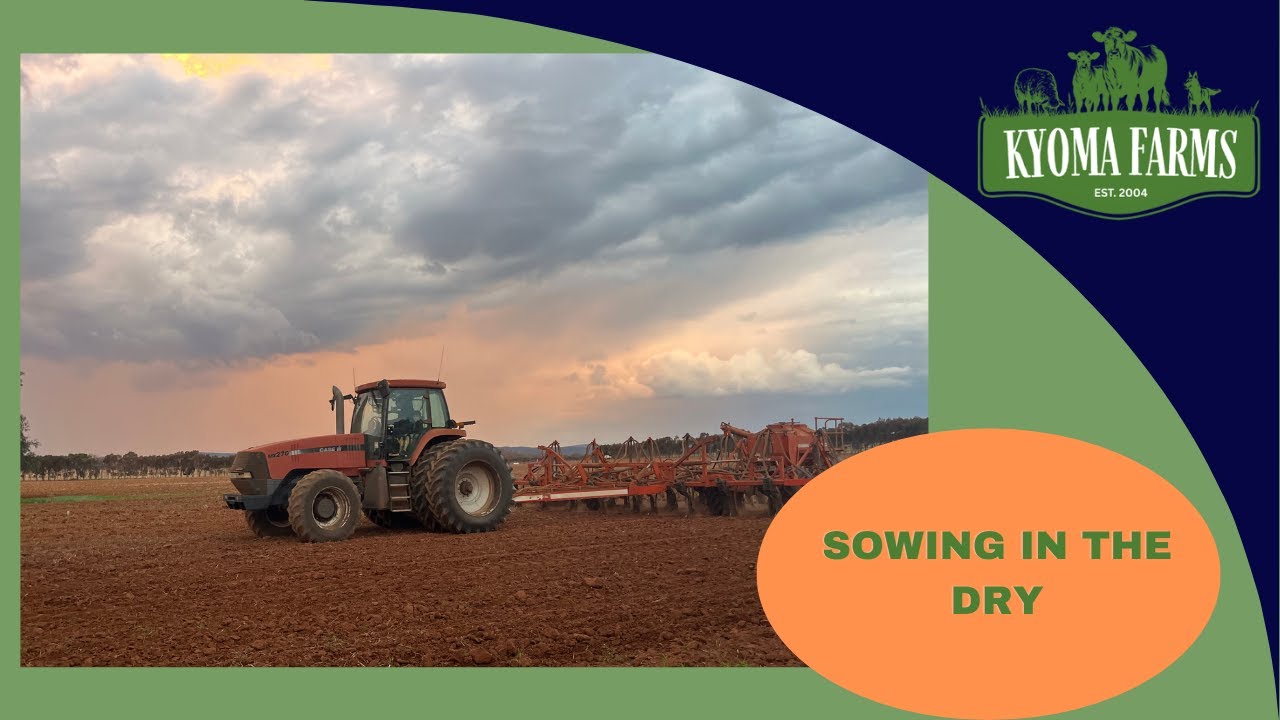 Sowing in the Dry - YouTube