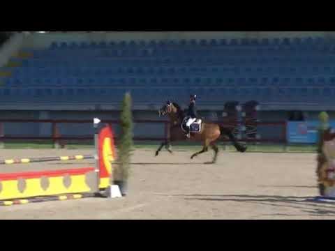 Sevil Sabancı - Siec Cherry Ann - 22.11.2020 Siec Cup Gold Tour 140 - 145 cm Üçüncüsü